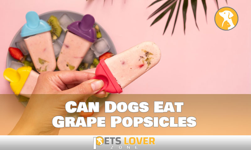 Are Grape Popsicles Bad For Dogs