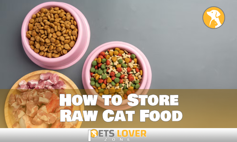 Revolutionary Tips for Storing Raw Cat Food Fresh