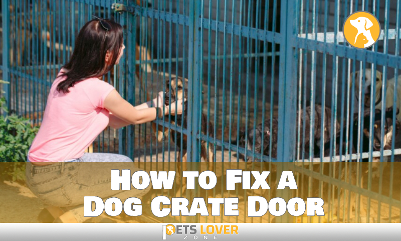 How to Fix a Dog Crate Door Like a Pro With Complete Guide