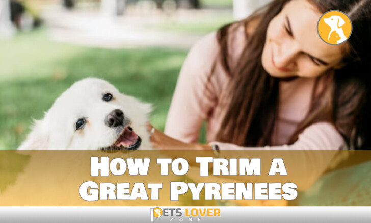 How to Trim a Great Pyrenees: The Ultimate Grooming Guide