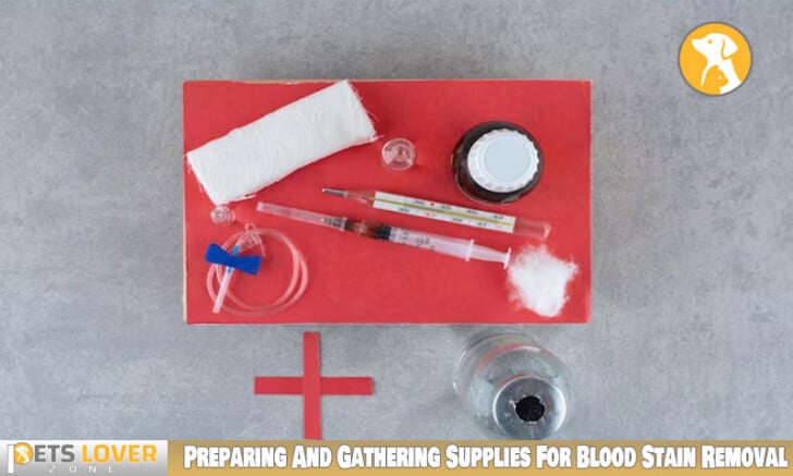 Ultimate Guide for How to Get Stubborn Blood Out of Dog Fur