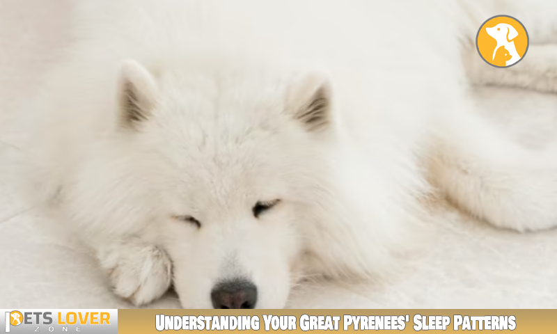 How to Get Your Great Pyrenees to Sleep Restful at Night's