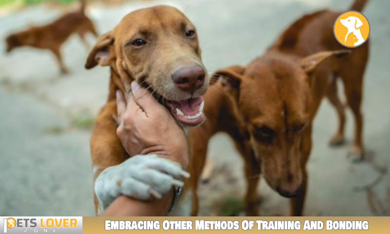 Biting a Dog on the Ear to Show Dominance: Best Techniques