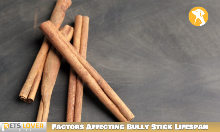 How Long Should a Bully Stick Last? Discover the Lifespan!