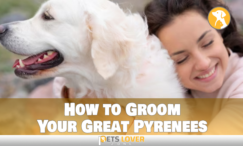How to Groom Your Great Pyrenees: Tips for The Best Care