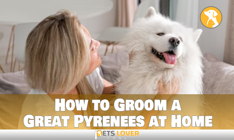 How to Groom a Great Pyrenees at Home: Tips for Best Care