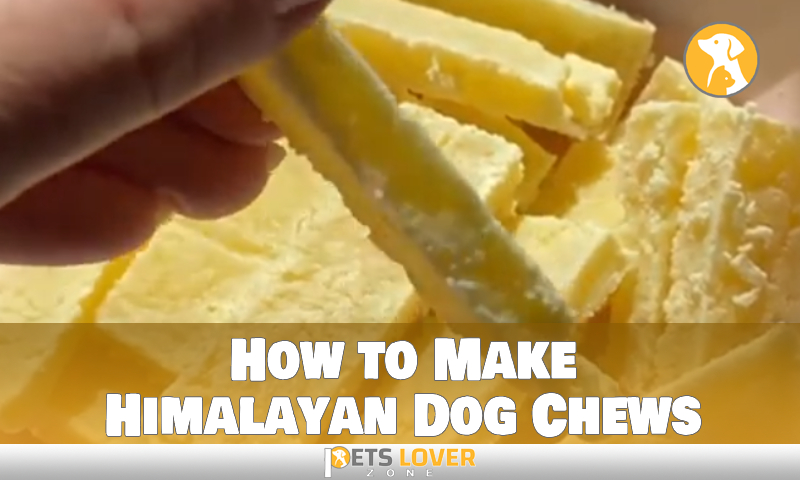 Complete Guide How to Make Himalayan Dog Chews