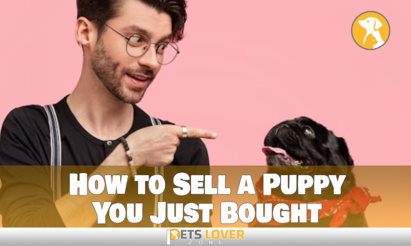 How to Easily Sell a Puppy You Just Bought With Expert Tips