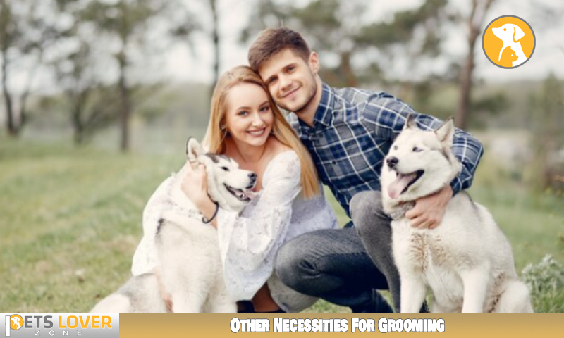 How to Groom Your Great Pyrenees: Tips for The Best Care