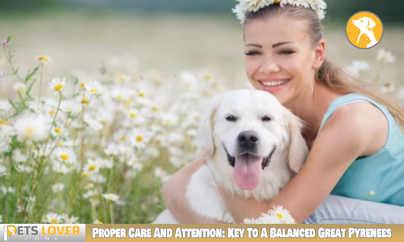 How Far Will a Great Pyrenees Roam? Discover Their Spirit!
