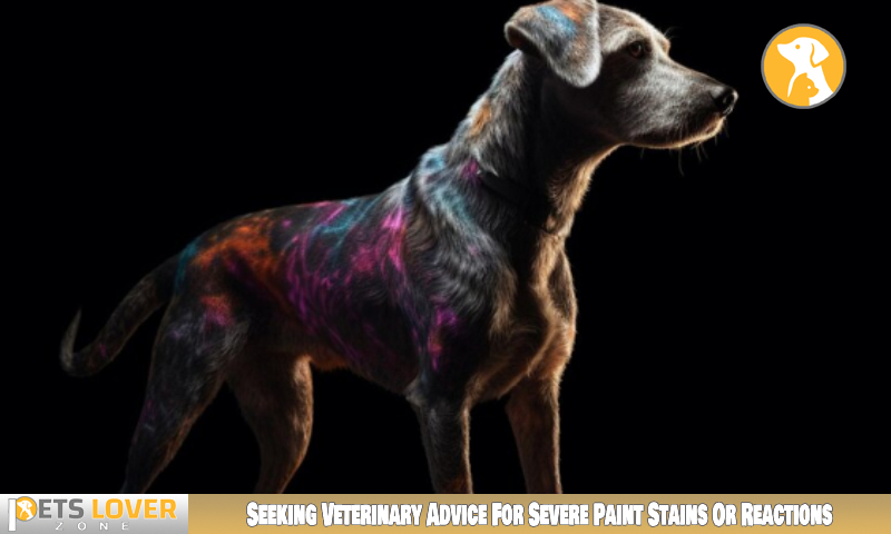 How to Safely Get Paint off From Your Dog: An Owner's Guide