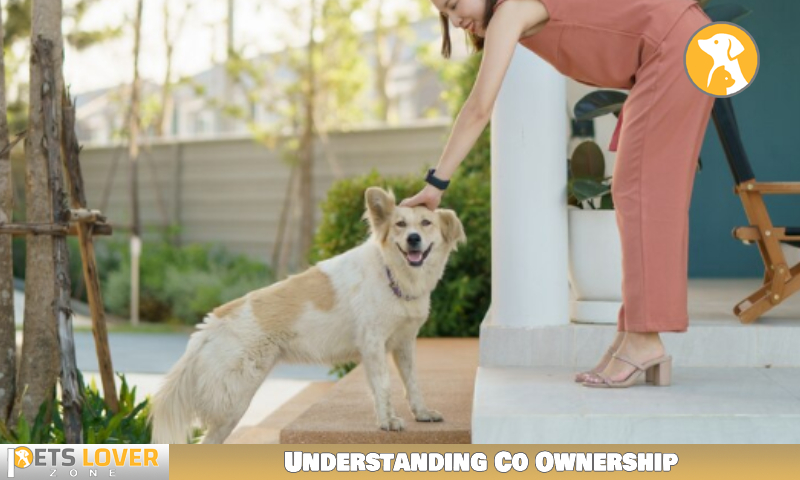 How Does Co-Owning a Breeding Dog Work: Best Guide Ever